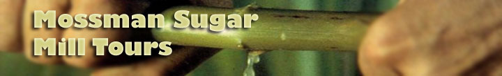 Mossman Sugar Mill & Farm Tours